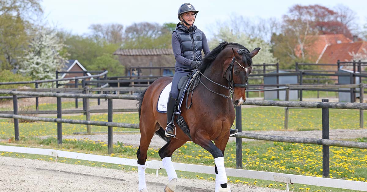 Ridning på Oure Kostgymnasium I Fortsæt din ridning på gym